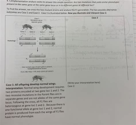 Solved 4 Complementation Analysis Seeks To Answer This