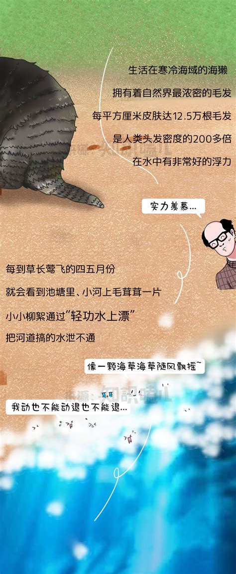 今天发部毛片 知识嗑儿 站酷ZCOOL
