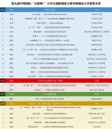 我校在第九届“互联网”大赛湖北省赛获6项金奖 湖北大学新闻网