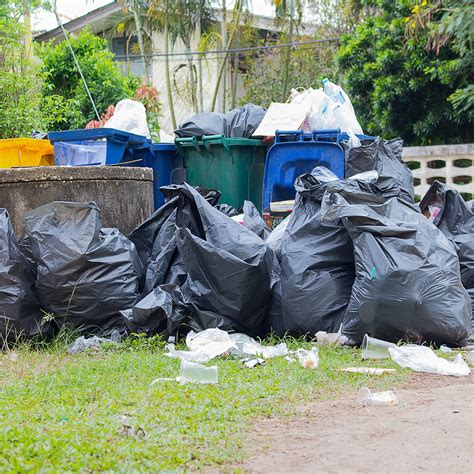 How To Get Rid Of Trash - Warexamination15