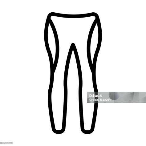 옷 컬렉션의 레긴 아이콘 얇은 선형 레긴 스포츠 흰색 배경에 격리 된 바지 윤곽 아이콘 라인 벡터 레긴 사인 웹 및 모바일 기호 0명에 대한 스톡 벡터 아트 및 기타 이미지