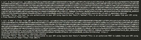 Authorizing Access Through A Proxy Resource To Amazon API Gateway And AWS Lambda Using Amazon