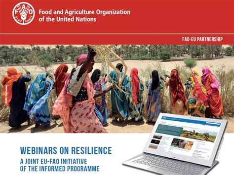 Webinar 2 On Resilience Resilience Index Measurement And Analysis Ii Rima Ii Whats New Pptx