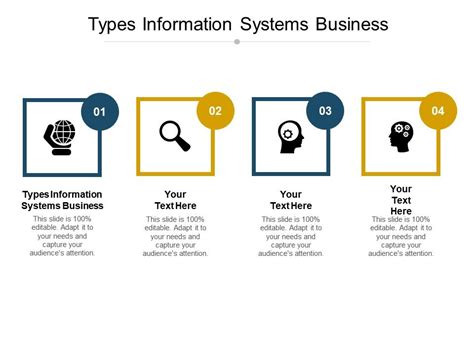 Types Information Systems Business Ppt Powerpoint Presentation Icon Infographics Cpb