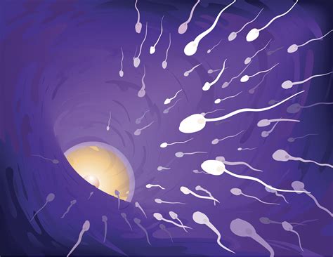 Semen Analysis For Artificial Insemination New York Reproductive Wellness
