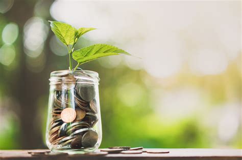 복사 공간이있는 나무 테이블에 동전으로 가득 찬 항아리에서 재배하는 식물 비즈니스 성장 및 투자 개념 개념에 대한 스톡 사진 및 기타 이미지 Istock