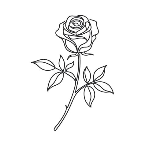 Black Rose Outline Png