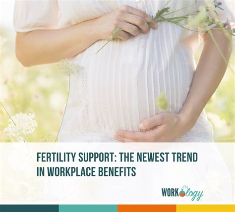 Complete Guide To Compensation Reviews In Microsoft Excel