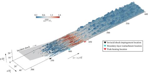 Direct Numerical Simulation Instantaneous Three Dimensional