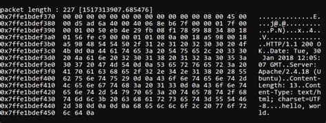 packet analysis 전북대학교 노형준의 포트폴리오