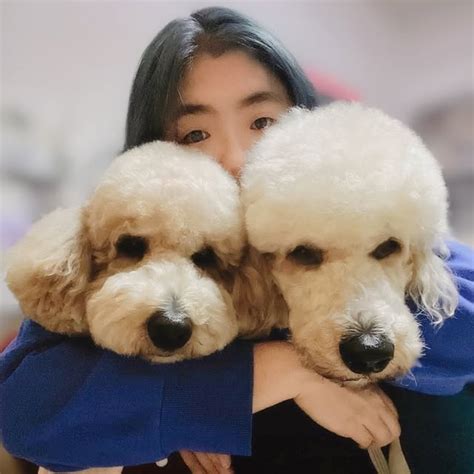 Tracy Lin Tracylinn • Threads Say More