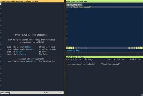 Helptags ALL Doesn T Reload Previously Loaded Help Buffer Issue