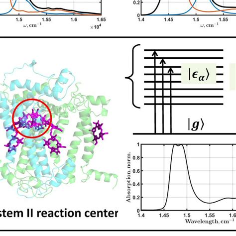 Effect Of The Inhomogeneous Broadening On The Optical Properties Of Download Scientific Diagram