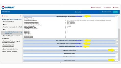 Sunat ¿cómo Actualizar Mis Datos Personales Y De Ruc Infobae