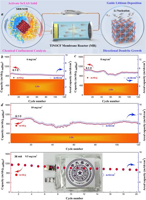 张跃钢课题组在锂硫电池s₈ Li₂s转换与锂枝晶调制方面取得新进展 清华大学物理系