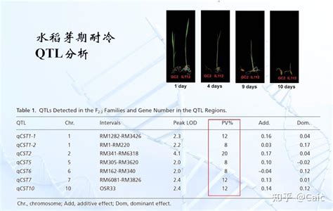 遗传学 8 数量性状的遗传 知乎