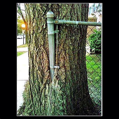 Tree You Can Put That Fence There But I M Probably Going To Eat It R TreesSuckingOnThings