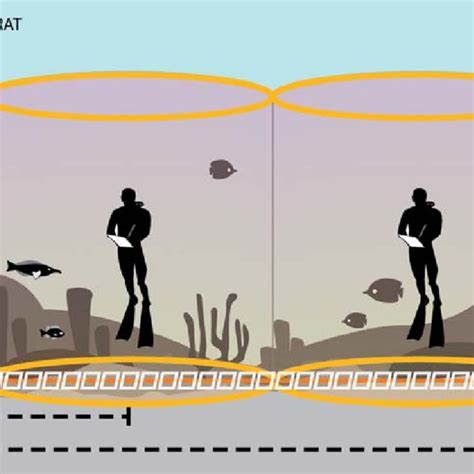 Side View Of The Stationary Point Count Method Dive Partners Count And