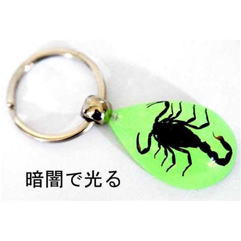 蠍 入り 夜光 蓄光式樹脂 昆虫 キーホルダー Bs 3357東京アクセサリー 通販 Yahooショッピング