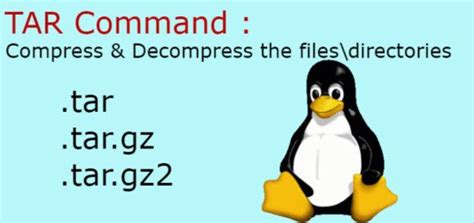 Some Common Tar Command Examples In Linux LinuxTechLab
