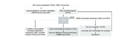 Schematic Pipeline Of Data Collection And Analyses Download Scientific Diagram