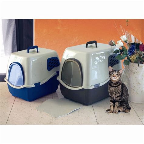 Лоток для кота: обзор моделей, советы по выбору - Animallist.ru