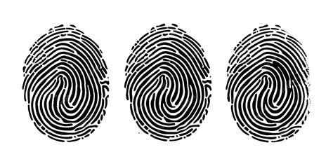 Fingerprint Set Fingerprint Identification Biometric Human Fingerprints Premium Ai Generated