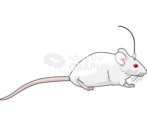 Free Microinjection Swiss Icons Symbols Pictures And Images Mind The Graph