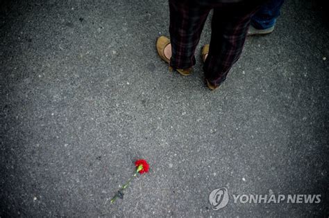 노동절 기념하는 붉은 카네이션 한송이 연합뉴스