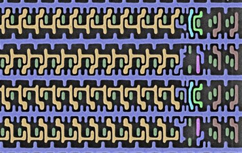 Scan Excerpt With Different Polygon Classes Illustrated In Individual Download Scientific