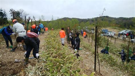 社会貢献活動民安ダムサクラの森づくり植樹会に参加しました ニュース内外エンジニアリング北海道株式会社 北海道の建設コンサルタント