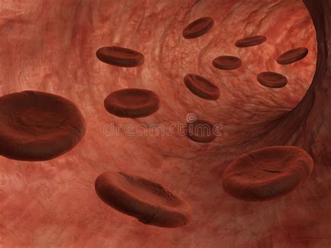 De Cellen Van Het Bloed In Ader Stock Illustratie Illustration Of Binnenlands Artistiek 12161734