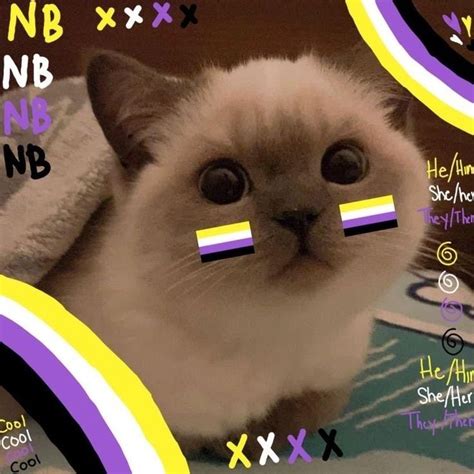 Lgbtq Is Non Binary Pride Cat Pfp Icon In 2024 Flag Icon Kitty Cute