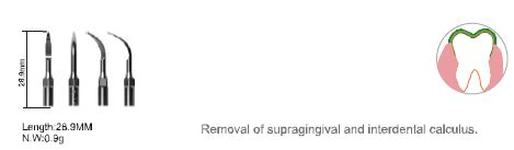 Scaler Tips NSK Satelec Comp B S1 G1 Scaler Tip NSK And Satelec Compatible