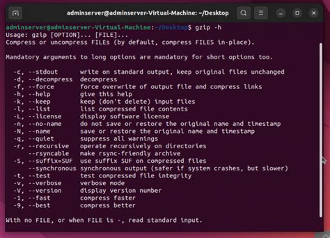 Zip A File In Ubuntu A Step By Step Guide Buy GPU RDP Online Cheap GPU RDP GPU Dedicated