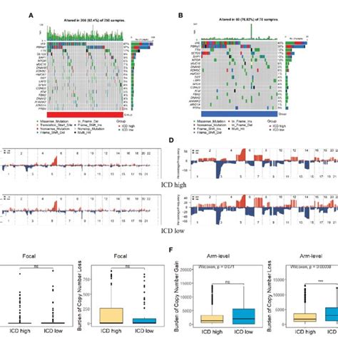 Comparison Of Genomic Alternations Between Different Subtypes A B Download Scientific