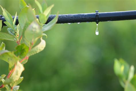 Water Efficient Agriculture Global Opportunity Explorer