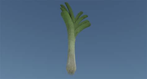 Pack Leeks 3d Model
