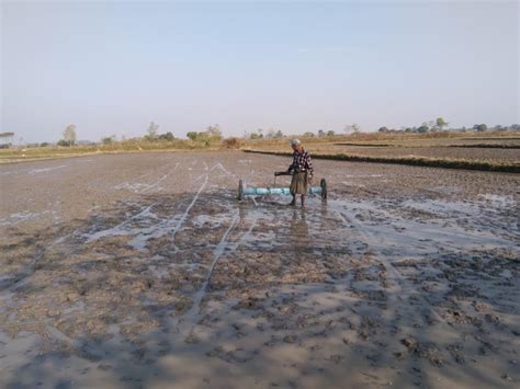 သဲကုန်းမြို့နယ်၌ နွေစပါး Drum Seeder လက်ဆွဲကောက်စိုက်စက်ကိရိယာဖြင့် စပါးတိုက်ရိုက် မျိုးစေ့ခ