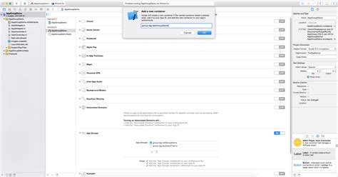 Ios 8 App Groups