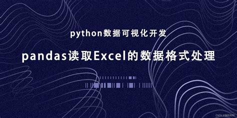 python数据可视化开发 pandas读取Excel的数据格式处理数据读取指定列数据DataFrame转json数学运算透视表运算输出 阿里云开发者社区