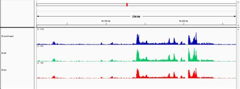 Chip Seq Dap Seq Atac Seq Cutandtag结果可视化 Igv使用攻略 知乎