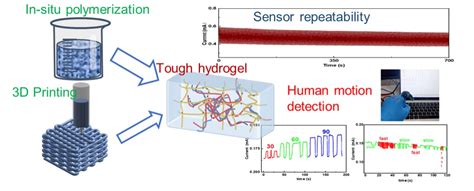 Flexible Programable Sensing System With Polyaam Hema Sa For Human Motion Detection
