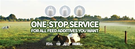 What Is The Best Calcium Phosphate Supplement