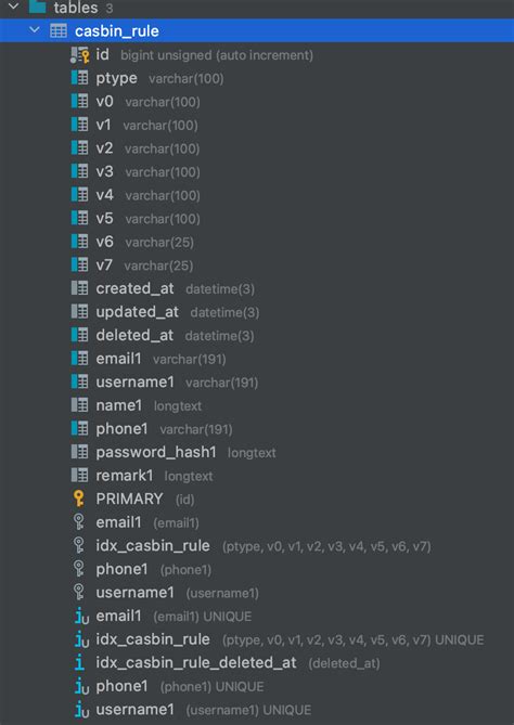 Bug Problem About Auto Migration Issue Casbin Gorm Adapter GitHub