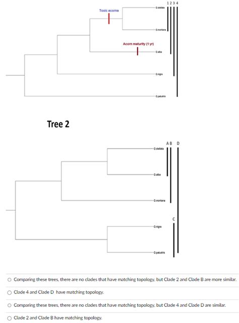 Solved Consider Tree 1 ﻿and Tree 2 ﻿in The Figure Below