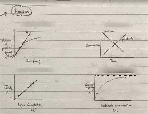 Chapter 6 Kinetics I Diagram Quizlet Chapter 6 Kinetics I Diagram Quizlet