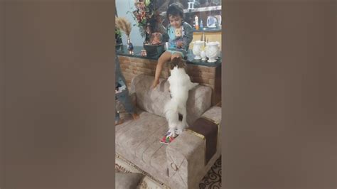 حسنفسنقری News فعالسیاسی اسفراین Automobile پایگاهخبریشهر