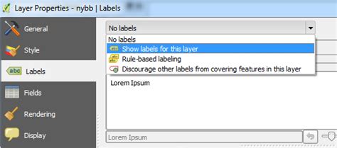 Introduction To GIS Fundamentals Datapolitan Training