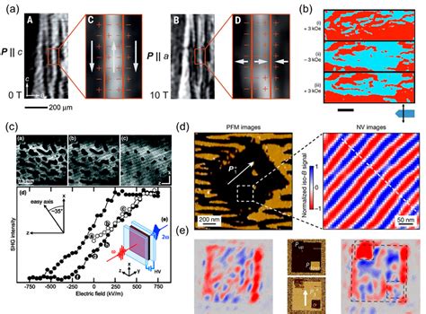 Figure 8 From Design And Manipulation Of Ferroic Domains In Complex Oxide Heterostructures